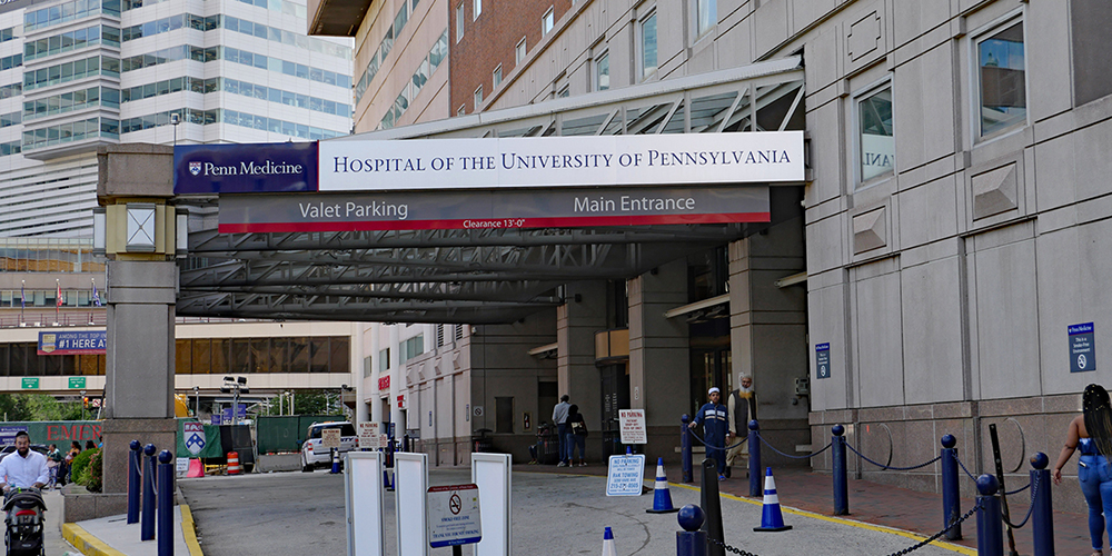 Making CAR T-cell therapy in one day | Alliance for Cancer Gene Therapy