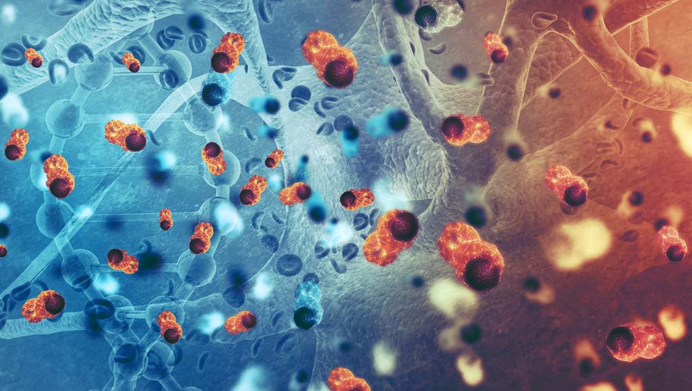 How cancer affects our immune system | Alliance for Cancer Gene Therapy