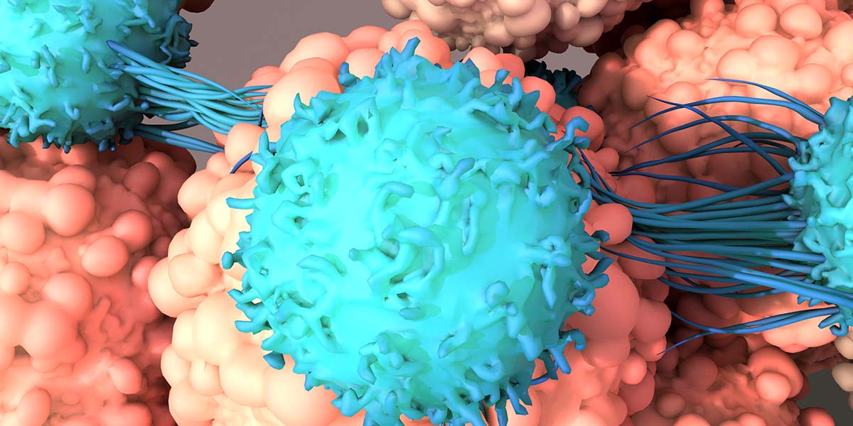 T-cell memory and CAR T-cell therapy | Alliance for Cancer Gene Therapy